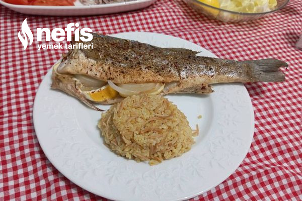 Fırında Levrek - Hdabla