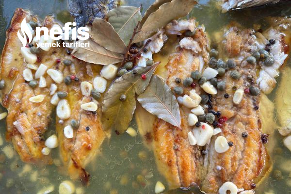 Levrek Terletme - Hdabla